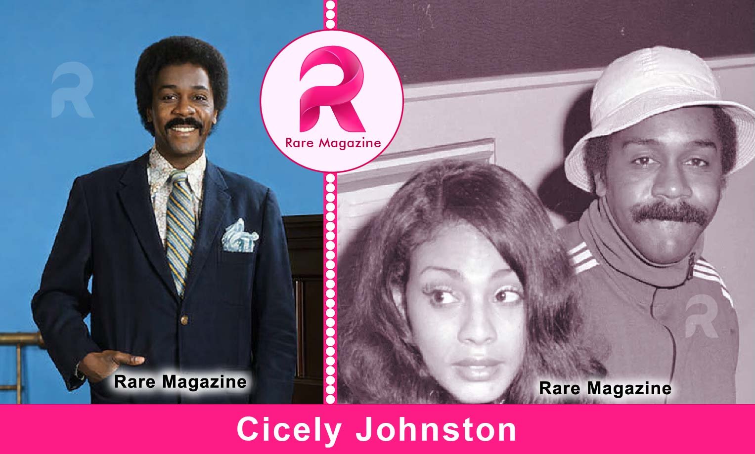 Who Is Cicely Johnston? Full Life Story of Demond Wilson’s Wife ...